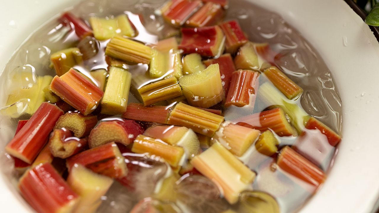 Jak spařit rebarboru a snížit v ní obsah nežádoucích kyselin? Poradíme ...